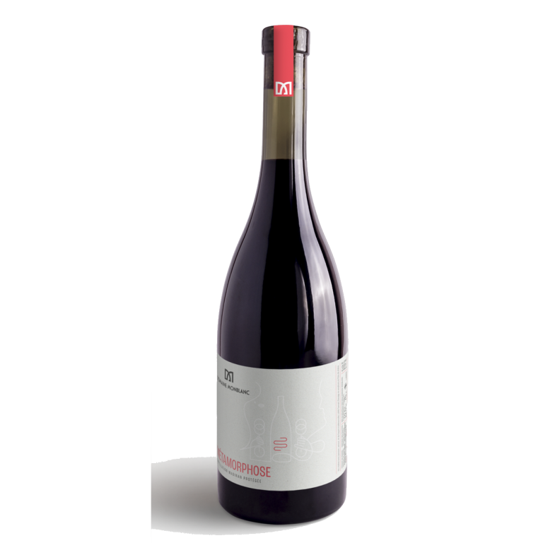 Boutique des vins - Madiran et Pacherenc